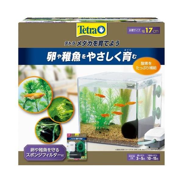 在庫状況：お取り寄せ/7日〜10日で出荷◆※仕様やパッケージは、リニューアルなどの理由で変更になっている場合がございます。予めご了承下さい。卵や稚魚をやさしく育む◆どんな場所にも設置できるコンパクトサイズ◆卵や稚魚を吸い込まないエアリフト方...