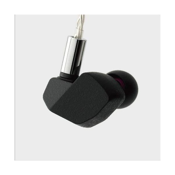 在庫状況：お取り寄せ/◆ドライバー(f-CORE DU)搭載、透き通るクリアさと奥行き感のあるサウンド。◆カスタマイズしたかのような装着感。◆ドライバー：ダイナミック型。/[FIA5DPLD]