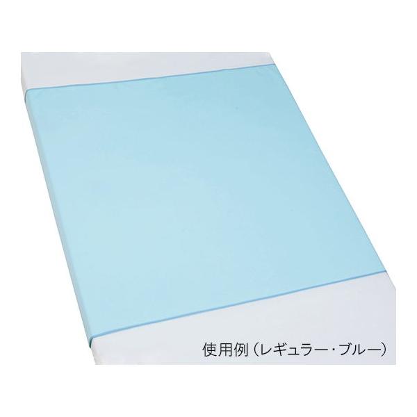 在庫状況：お取り寄せ//2016年11月 発売/※画像は代表画像です。◆撥水性、速乾性のあるスムースニット素材◆肌触りの良い定番シーツ/[7150201]