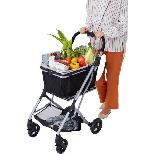 在庫状況：お取り寄せ/7日〜10日で出荷/◆いつものお買い物がラクになる!◆コンパクトサイズで収納もラクラク。◆シルバーカートの代用にも！/[EC41エコカマイシヨツピングカト]
