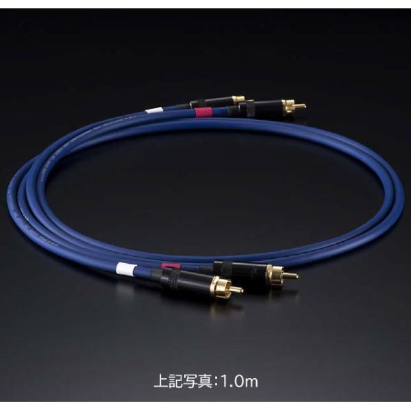 在庫状況：お取り寄せ//2023年07月 発売/◆帯電防止ロッドをケーブル内部に配置◆2芯セパレーション構造(ワイドピッチ)◆新技術によって誕生したハイパフォーマンスケーブル/[EVO0503ARCA15]