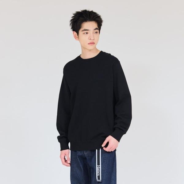在庫状況：在庫僅少/◆※画像はイメージです。◆Hanesこだわりのコットン100％のクルーネックスウェットシャツです。◆身生地はふっくらとした厚みが特長の10.5オンス裏毛素材。◆“Hanes T-SHIRTS KURO”(ヘインズ Tシャ...