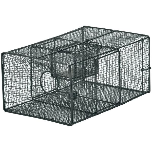 在庫状況：お取り寄せ/お届け：約1週間/※捕獲器の設置には役所への申請が必要です。※許可なく野生鳥獣を捕獲することは禁止されています。※野生鳥獣を捕獲するために、わなを設置される方は捕獲の許可証または狩猟者登録証が必要です。※捕獲許可制度の...