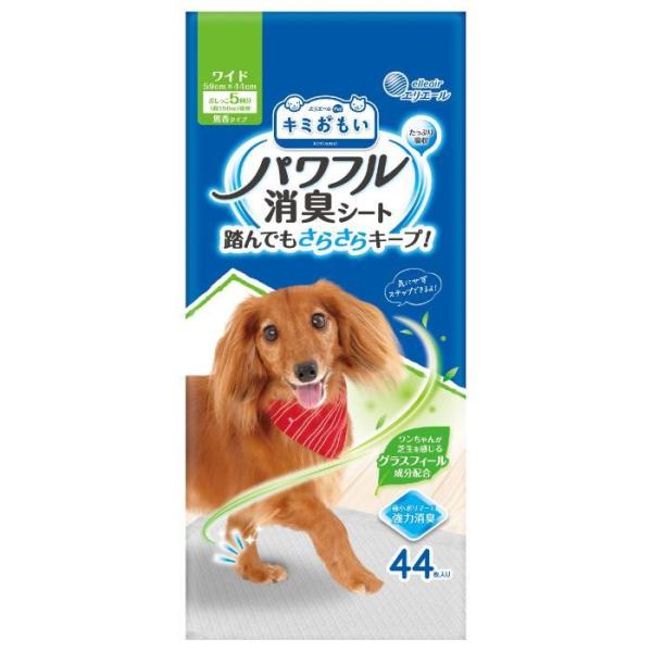 在庫状況：お取り寄せ/5日〜7日で出荷◆※仕様及び外観は改良のため予告なく変更される場合がありますので、最新情報はメーカーページ等にてご確認ください。※お手元に届きました商品(パッケージ)の原材料や成分などの仕様を、必ず開封前にご確認の上、...