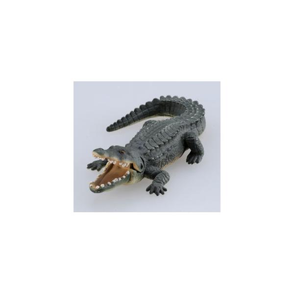 在庫状況：お取り寄せ/3日〜5日で出荷/2013年06月 発売/※画像はイメージです。実際の商品とは異なる場合がございます。楽しく遊べる動物フィギュアにナイルワニがラインナップ! 口が開閉します。