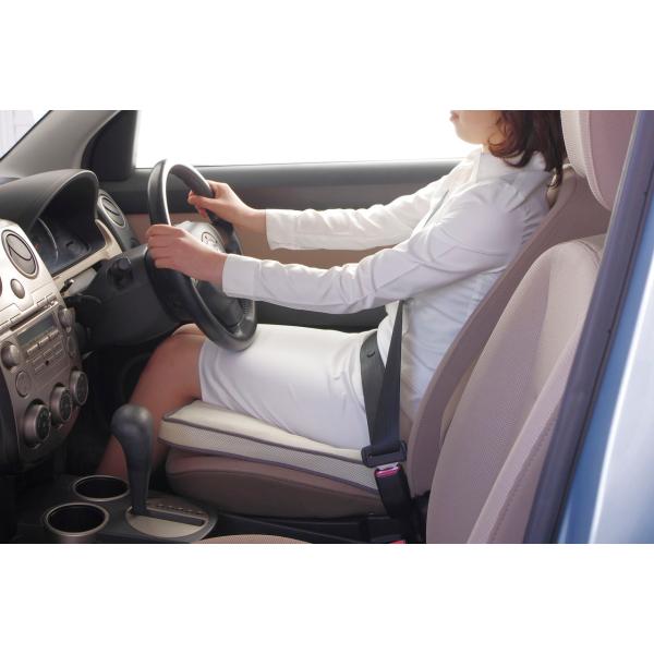 在庫状況：お取り寄せ/お届け：2〜3週間/2013年03月 発売/【こちらのアイリス製品につきまして】ご購入後の初期不良・不具合などのアフターサポートにつきましては、下記窓口にご連絡ください。［アイリスコール］電話番号：0120-211-2...