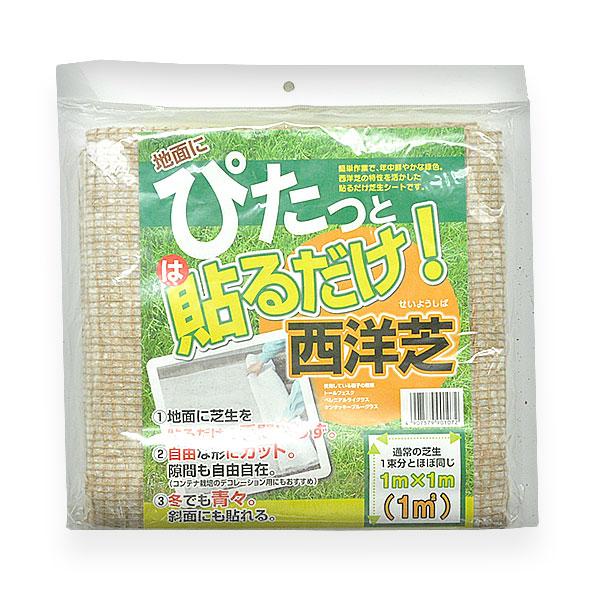 在庫状況：お取り寄せ/お届け：約2週間/◆テクいらずコツいらずの簡単芝張り。◆地面に布を広げるだけ!貼るだけ手間いらずで施工は簡単です。◆自由な形にカットできるので玄関まわりや軒下・花壇の縁もきれいに仕上がる！/[SO2057280]