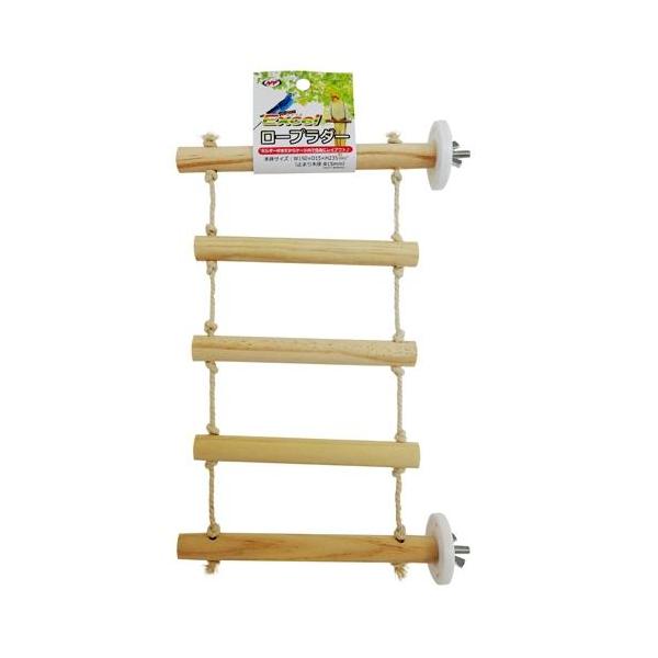 在庫状況：お取り寄せ/7日〜10日で出荷/※仕様やパッケージは、リニューアルなどの理由で変更になっている場合がございます。予めご了承下さい。◆ホルダー付きだからケージ内で自由にレイアウト。◆天井から吊り下げたり、ケージ側面に取り付けたりして...