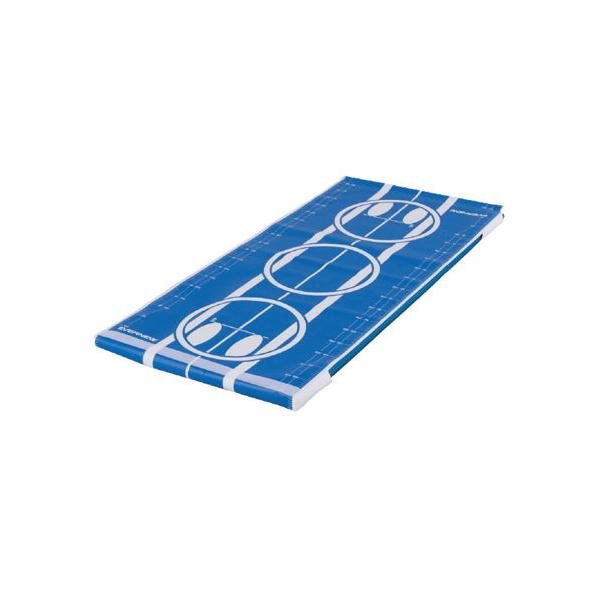 在庫状況：お取り寄せ/※画像はイメージです。◆マルチな体操マットカバー。◆指導ライン・立幅測定・連結も可能で多目的に使える。◆破けたマットに被せて継続使用が可能になる。/[EKM531エバニユ]