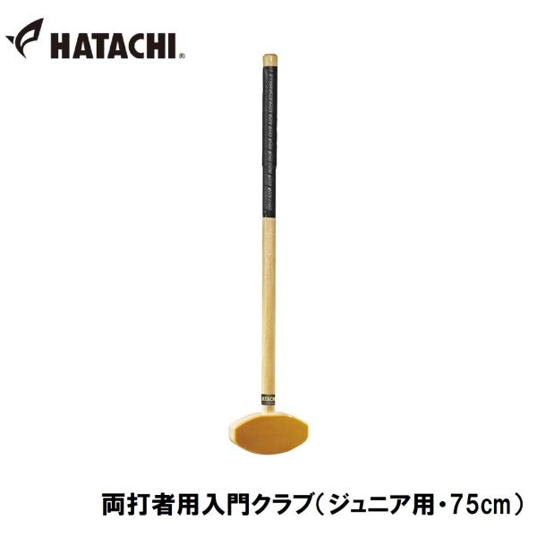 在庫状況：お取り寄せ/3日〜8日で出荷/※画像はイメージです。◆利き腕を問わずに楽しめるセットです。◆左右共通◆(公社)日本グラウンド・ゴルフ協会認定品/[HACBH215275]