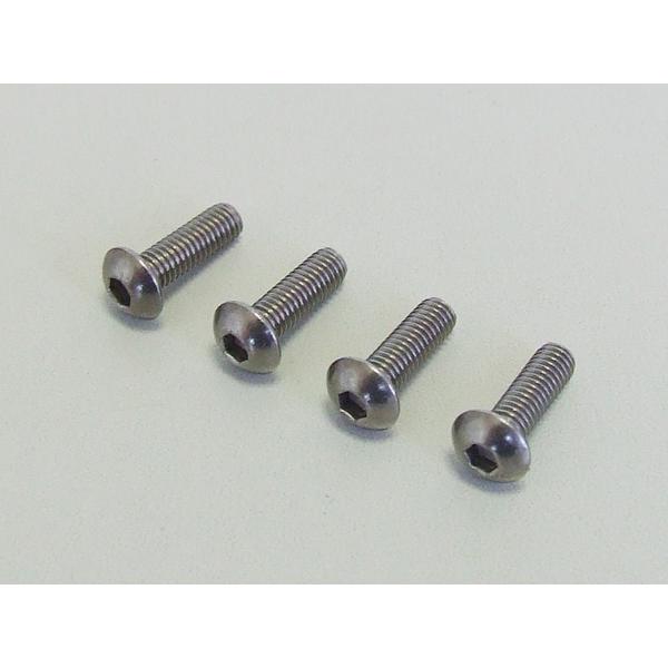 在庫状況：お取り寄せ/※画像はイメージです。実際の商品とは異なる場合がございます。川田模型 ヘックス鍋ビス　チタン3×10(4個入) です。