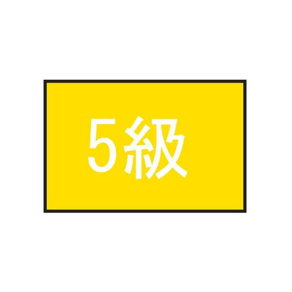 在庫状況：お取り寄せ/※画像はイメージです。◆面ファスナー式シールの級マークです。◆ダッシュマジック等マジックテープのメスに貼り付けられます。/[10170234]