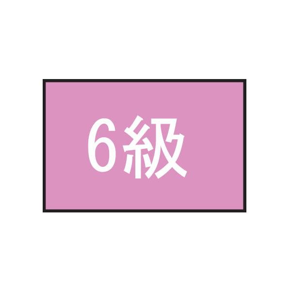 在庫状況：お取り寄せ/※画像はイメージです。◆面ファスナー式シールの級マークです。◆ダッシュマジック等マジックテープのメスに貼り付けられます。/[10170235]