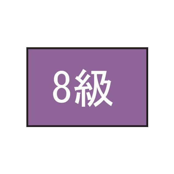 在庫状況：お取り寄せ/※画像はイメージです。◆面ファスナー式シールの級マークです。◆ダッシュマジック等マジックテープのメスに貼り付けられます。/[10170237]