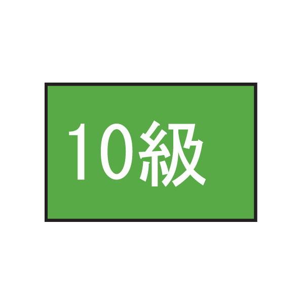在庫状況：お取り寄せ/※画像はイメージです。◆面ファスナー式シールの級マークです。◆ダッシュマジック等マジックテープのメスに貼り付けられます。/[10170239]