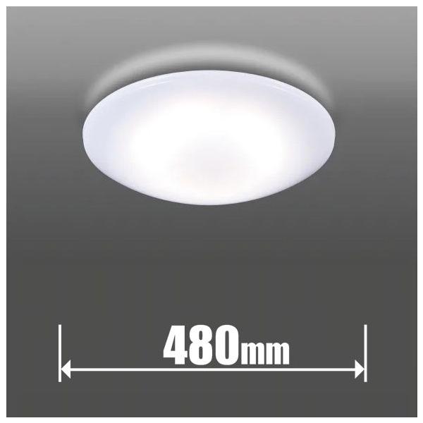 在庫状況：お取り寄せ/3日〜5日で出荷/2025年10月 発売/◆明るさフリーコントロール機能◆メモリー点灯機能◆防虫仕様(カバー、本体)・年齢と畳数の目安：20代　〜14畳、40代　〜12畳/[RHD14290]