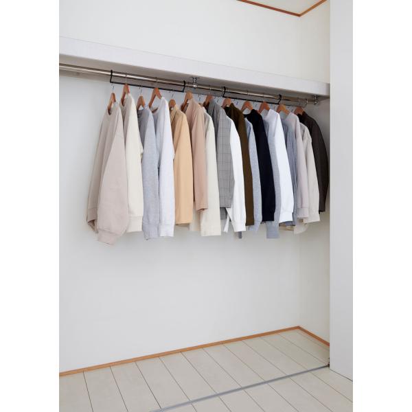 在庫状況：お取り寄せ/お届け：1月中旬以降/◆衣類を取り出しやすく省スペースに収納!◆吊るすだけの簡単設置!◆衣類を段違いにして収納することで、肩部分の厚みを減らして省スペースに収納できます。・サイズ(約)：450〜700×61×67mm/...
