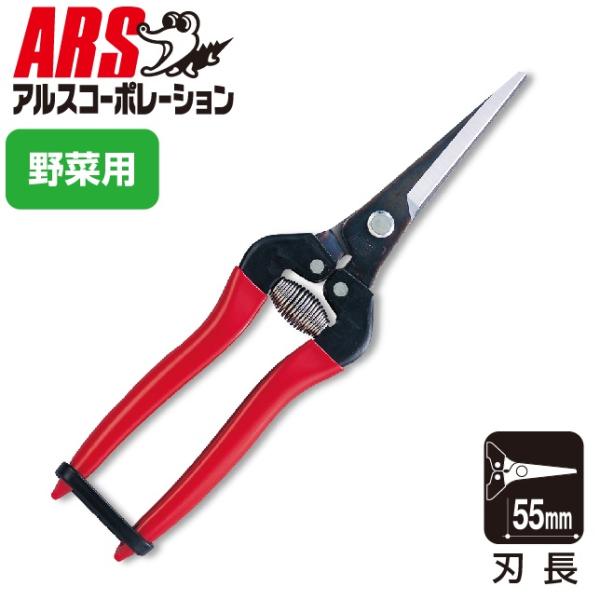 在庫状況：お取り寄せ/3日〜4日で出荷/【こちらの製品につきまして】ご購入後の初期不良・不具合・修理などのアフターサポートにつきましては、下記窓口にご連絡ください。［アルスコーポレーションお問い合わせ先］電話番号：0120-833-202【...
