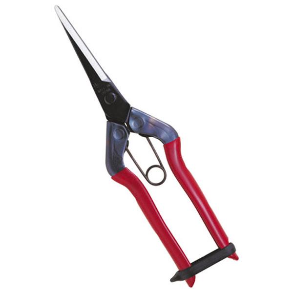 在庫状況：お取り寄せ/3日〜4日で出荷/◆野菜の収穫に最適。◆奥まった所にも届くロング刃/[T570CHIKAMASA]