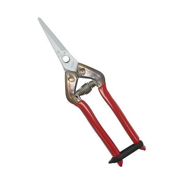 在庫状況：お取り寄せ/3日〜4日で出荷/◆植物の鮮度に悪影響を与える菌の繁殖を防ぐ抗菌仕様の鋏です◆水やサビに強いステンレス刃に抗菌加工、高級フッ素加工を施し、菌の繁殖を防ぐと共にシブやヤニの付着を防ぎます◆野菜、果樹、生花の摘果、芽切、収...