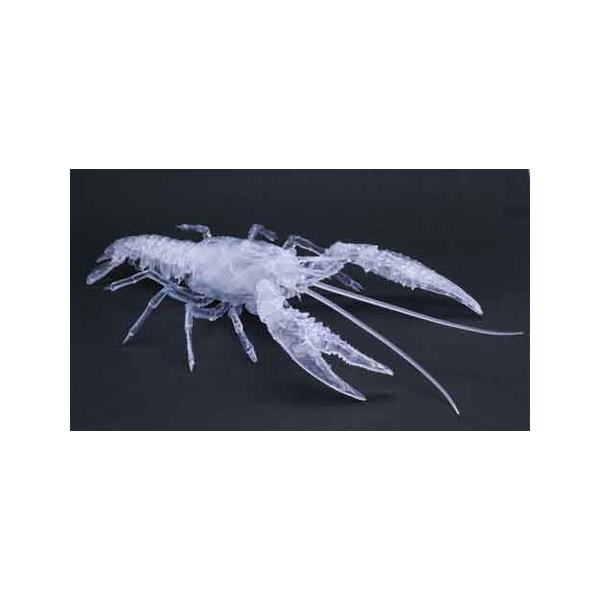 在庫状況：お取り寄せ/2020年07月 発売/※画像はイメージです。実際の商品とは異なる場合がございます。フジミ 自由研究シリーズNo.24 EX-3 いきもの編 アメリカザリガニ(透明)です。【report】