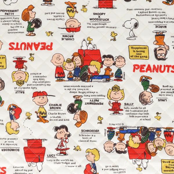 在庫状況：お取り寄せ/7日〜10日で出荷/※モニターによっては現物と若干色合いなどが異なる場合がございます。予めご了承ください。※カットの位置により柄の出方は異なります。柄の指定はお受けできませんので、予めご了承ください。◆男の子・女の子に...