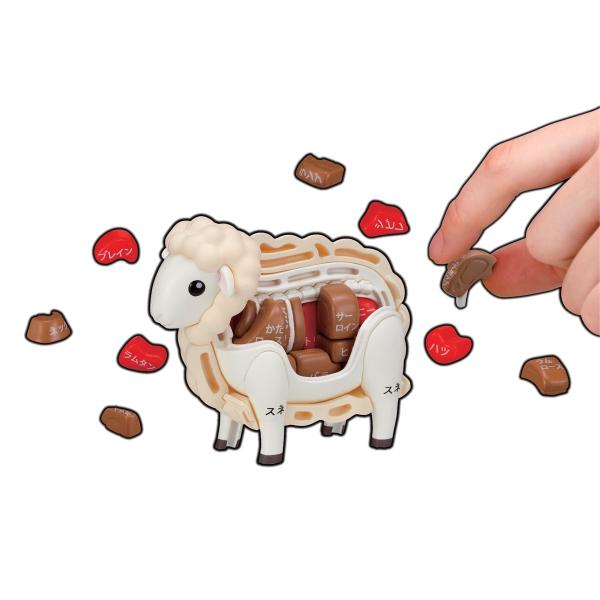 在庫状況：お取り寄せ/3日〜5日で出荷/2020年11月 発売/※画像はイメージです。実際の商品とは異なる場合がございます。※同一と思われるお客様より大量のご注文をいただいた場合、ご注文をお取り消しとさせていただく場合がございます。ラム(子...