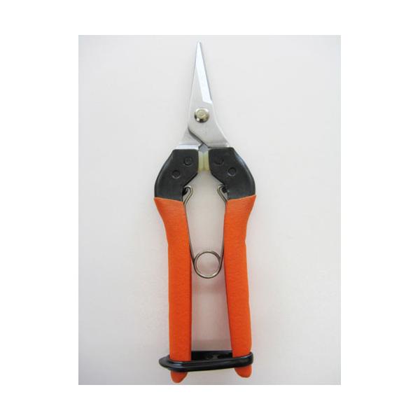 在庫状況：お取り寄せ/取引先在庫あり2日〜4日で出荷/◆摘果はさみ クッション付/[AG7サボテン]