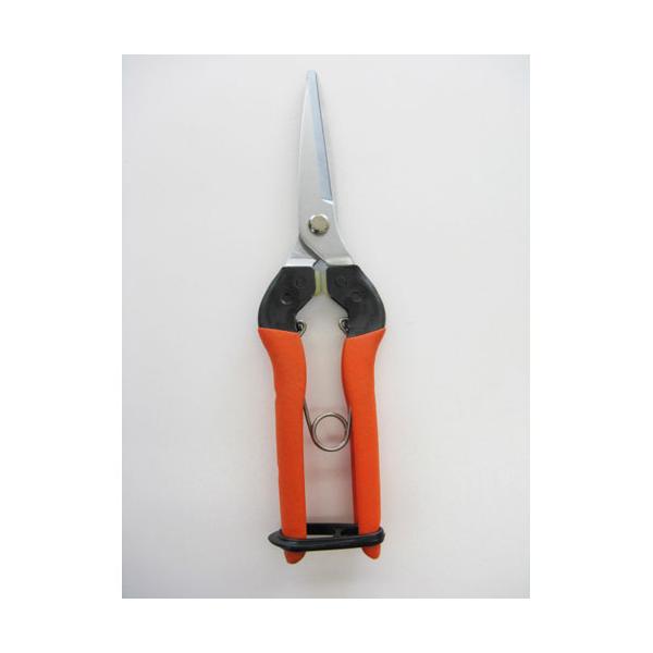 在庫状況：お取り寄せ/取引先在庫あり2日〜4日で出荷/◆衝撃吸収青果はさみ/[AG10サボテン]