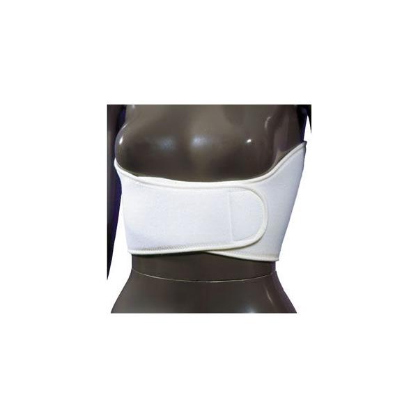 在庫状況：お取り寄せ/2010年03月 発売/◆弾力性のある生地を使用しておりますので患部を確実に固定できます。◆ソフトでフィット性・吸湿性に優れ、面ファスナーでワンタッチ装着ができます。/[NE641]