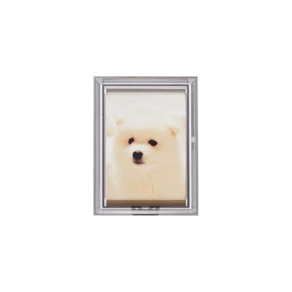 在庫状況：お取り寄せ/※画像は使用イメージです。◆多彩なカラー!スナップが気軽に飾って楽しめる◆スチロール樹脂製、Lサイズ用◆前面板は透明フィルム使用/[Lカラフレムスモク]