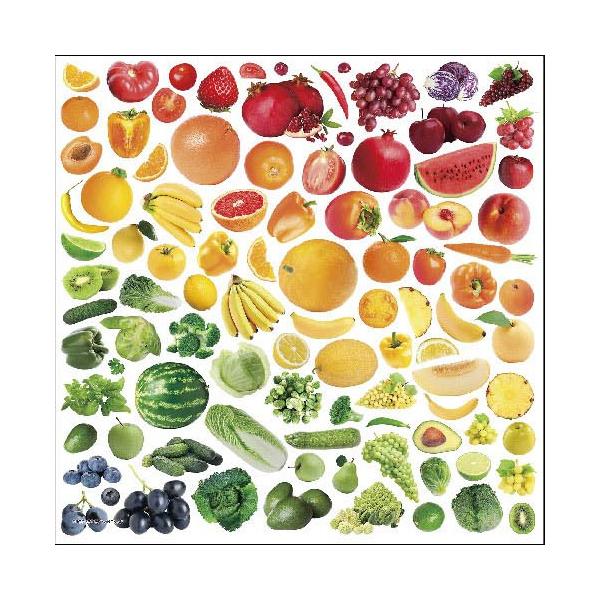 在庫状況：お取り寄せ/お届け：1〜2週間/2024年03月 発売/※画像はイメージです。実際の商品とは異なる場合がございます。※同一と思われるお客様より大量のご注文をいただいた場合、ご注文をお取り消しとさせていただく場合がございます。新鮮な...