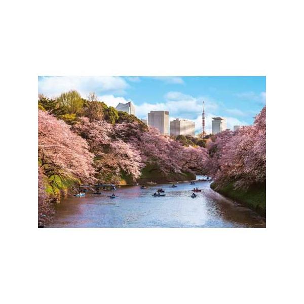 在庫状況：在庫僅少/2023年01月 発売/※画像はイメージです。実際の商品とは異なる場合がございます。 ※同一と思われるお客様より大量のご注文をいただいた場合、ご注文をお取り消しとさせていただく場合がございます。 春を先取り! 桜色が鮮や...