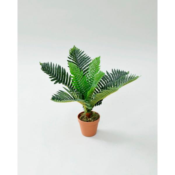 在庫状況：お取り寄せ/7日〜10日で出荷/◆ラベニアヤシ風のミニマジェスティックパームのフェイクグリーン◆高さ75cmあり、人目を惹く丁度よい大きさです◆ヤシを飾るだけで南国やリゾートムードを演出してくれます/[FGARECA75ヤマゼン]