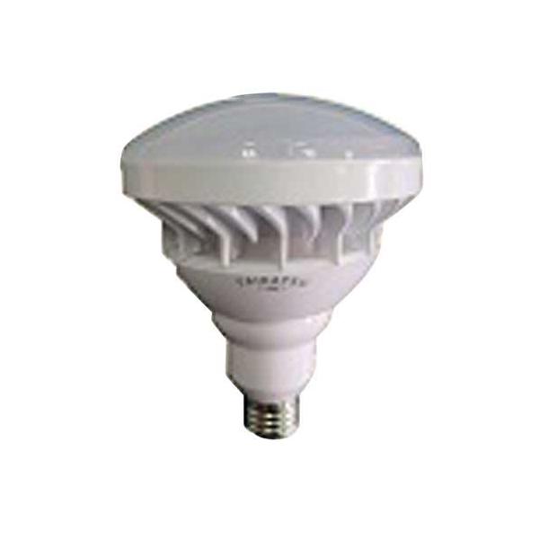 在庫状況：お取り寄せ/お届け：約1ヶ月/◆タイカツ LED投光器TK-LED200シリーズに使用可能なLEDランプ。 ◆消費電力が少ないのでCO2排出や発熱量も少なくて済みます。◆紫外線放出が少ないので虫を寄せ付けません。/[TKLED20...