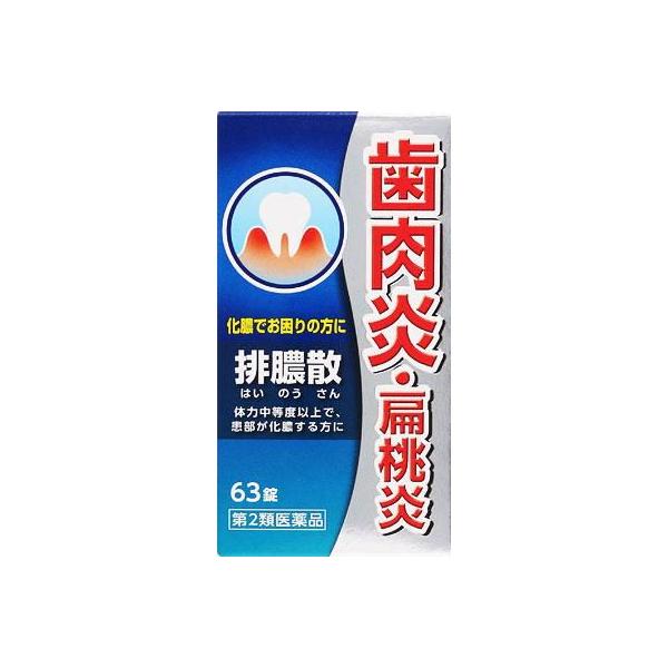 在庫状況：お取り寄せ/5日〜7日で出荷◆/体力中等度以上で、患部が化膿するものの次の諸症：化膿性皮膚疾患の初期又は軽いもの、歯肉炎、扁桃炎/[ハイノウサンエキスジヨウJ63T]