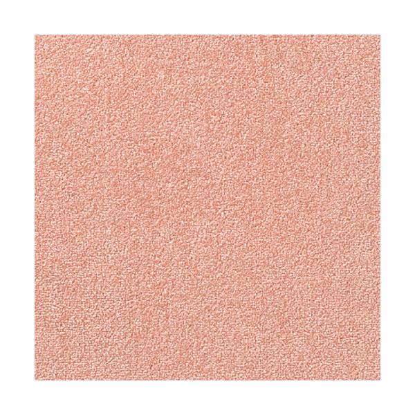 在庫状況：お取り寄せ/7日〜10日で出荷/※画像はイメージです。◆ペットにやさしい置き敷きタイルカーペット。安心の日本製。◆裏面の吸着加工でズレにくい◆特殊クッション層で衝撃を緩和/[ウイズペツトフロアWPF09SET]