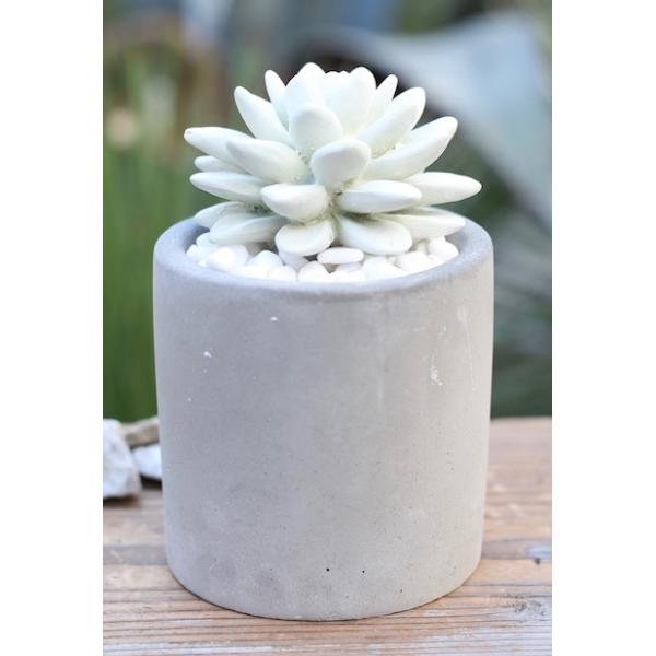 在庫状況：お取り寄せ/■ダルトン製品の特性についてダルトンの製品は、主に海外で製造されています。ハンドメイド製品も多くあり、サイズ・形状・色の濃淡等に個体差等がございます。一部商品ではアンティークの風合いを出す為の加工(色ムラ・サビ加工等)...