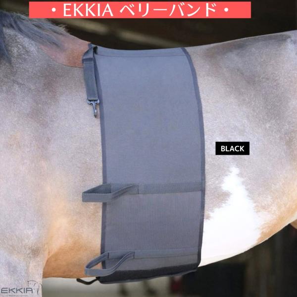 馬体への刺激や摩擦を防ぎ、快適さと安定感を両立。着脱も簡単で、黒色が馬具に美しくなじむ保護バンドです。■ブランドEKKIA（エキア）分類タグ:  【各種馬具】  【ゼッケン・パッド・イヤーネット】  【EKKIA（エキア）】  【ブラック】...