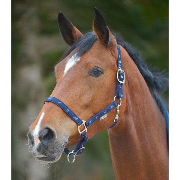 ジャンピングホースも親子馬も。小さくてカワイイ馬刺繍のテープをあしらって素敵に仕上がったホルターから目が離せません。■ブランドWALDHAUSEN（ヴァルドハウゼン）分類タグ:  【各種馬具】  【無口・曳手】  【WALDHAUSEN（ヴ...
