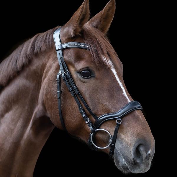 ドイツの老舗メーカーが手掛けるワンランク上の馬具シリーズに新作の頭絡が仲間入り。馬にとって快適でパフォーマンスの向上をめざす様々なこだわりと、美しいデザインが魅力です。■ブランドWALDHAUSEN（ヴァルドハウゼン）■素材本革分類タグ: ...