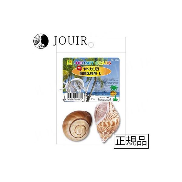 オカヤドカリの引越しに、 宿 替え用貝殻！・天然の造形が美しい巻貝の貝殻です。・種類も様々に用意されていますので、選ぶのも楽しみな宿替え用の貝殻です。・ケースの中のオブジェや、エサ入れとしても利用できます。・オカヤドカリの引越しに、たくさん...