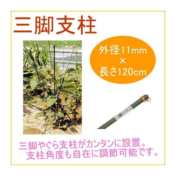 栽培に最適な三脚やぐらがワンタッチで簡単に作れます。ナス、ピーマンなどにおススメ！ワンタッチリングホルダーだから、支柱角度も自在に調節できます。※支柱が３本一組で１セットとなっています（リングホルダー１個付属）【サイズ】（約）外径11mm×...