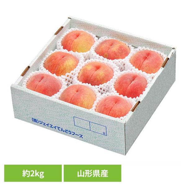 （検索用：山形県産 白桃 お取り寄せ 送料無料 産地直送 フルーツ ご褒美 訳あり ）●優良配送・届け日指定対象商品につきまして●下記の場合は対象外となります。・13時以降(休業日は12時以降)のご注文の場合・お届け先が対象地域外の場合(離...
