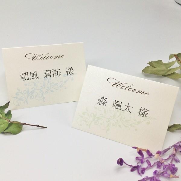 席札 【ナチュール】 ◆特典あり◆パールの台紙に描かれた模様は、２種類のテーマからお選びいただけます席札を広げた状態、ハガキサイズです。テンプレート付き■タイプグリーン / ブルー■備考・１０枚以上の販売となります。（１０枚より１枚単位で注...