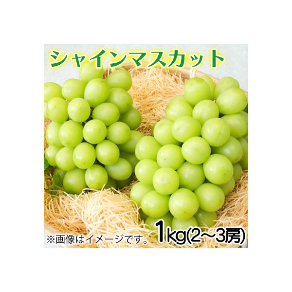 【発売日：2026年04月01日】種なしで皮ごと食べられる青系葡萄【商品提供者コメント】