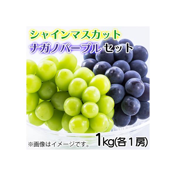 【発売日：2026年04月01日】人気の青系・黒計２種類のセット【商品提供者コメント】