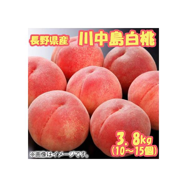 【発売日：2026年04月01日】果肉は緻密でやや硬めですが甘味が強いのが特徴【商品提供者コメント】