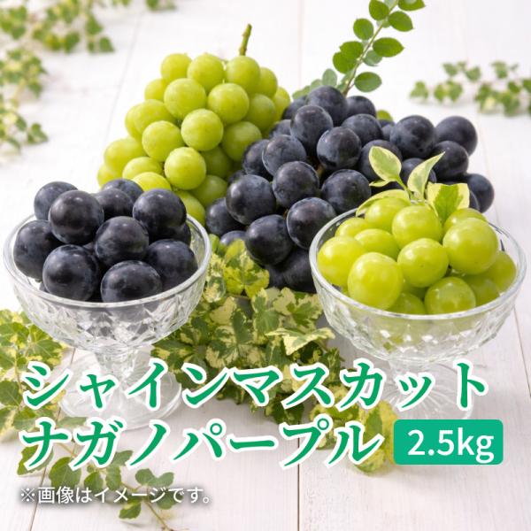 【発売日：2026年04月01日】どちらも皮ごと食せる葡萄です。ふたつのお味をお楽しみください【商品提供者コメント】
