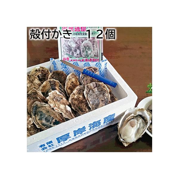 【発売日：2025年10月01日】厚岸湖で水揚げされた殻付きのカキです。生でよし、焼いても蒸しても美味しい、北の香りを存分に満喫してください。【商品提供者コメント】